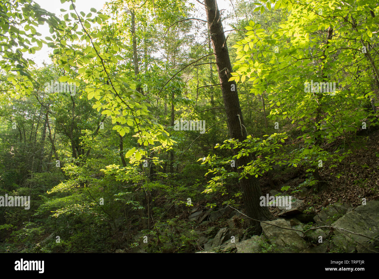 Landscapeviews hi-res stock photography and images - Alamy