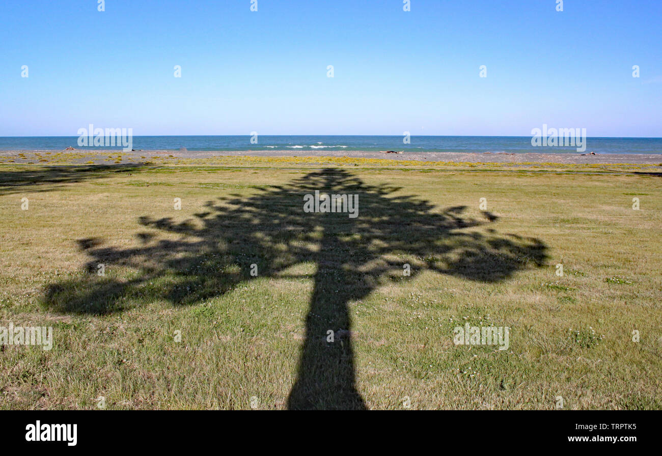 Tree points hi-res stock photography and images - Alamy