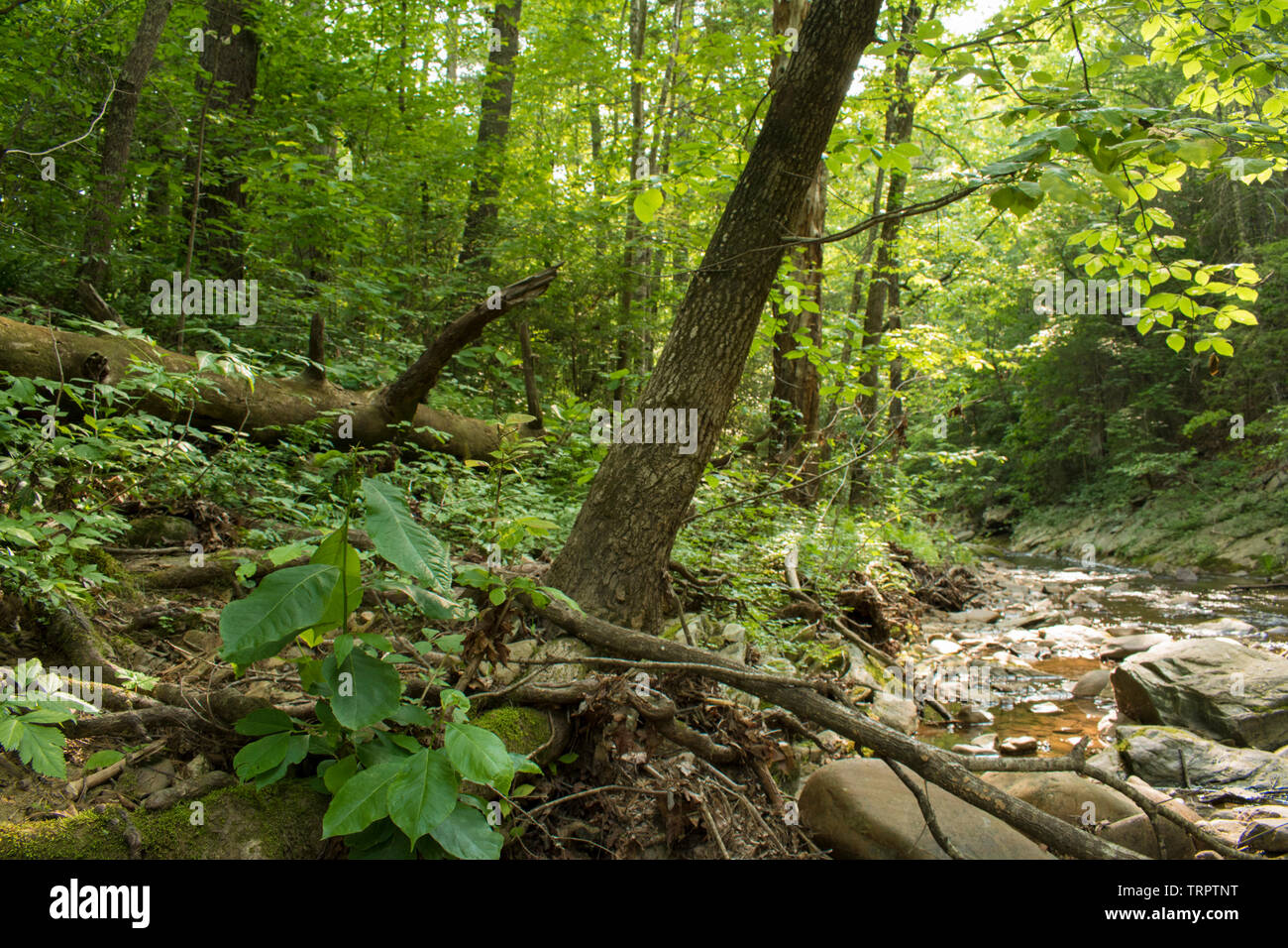 Slowtravel hi-res stock photography and images - Alamy