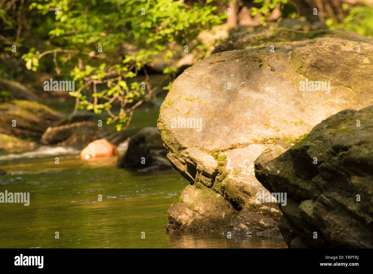 Landscapeviews hi-res stock photography and images - Alamy