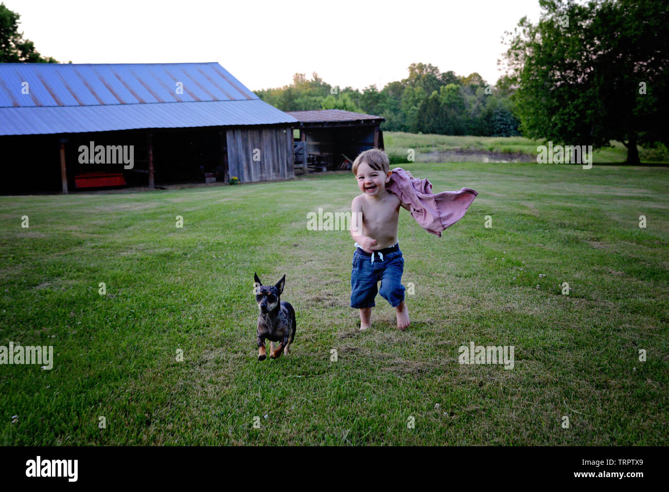 Dog boy run hi-res stock photography and images - Alamy