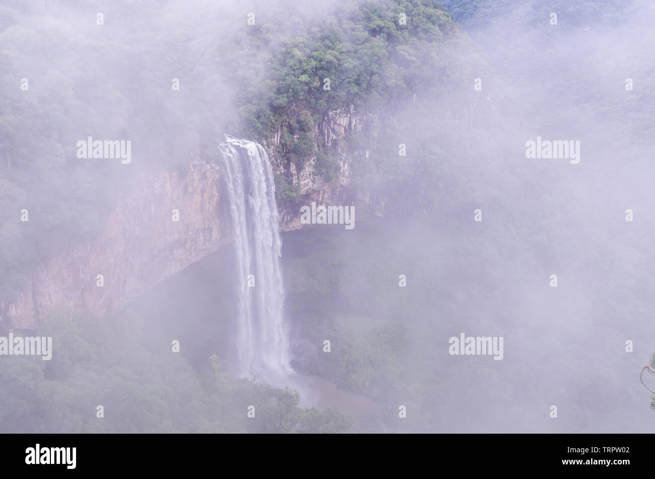 Caracol River High Resolution Stock Photography and Images - Alamy