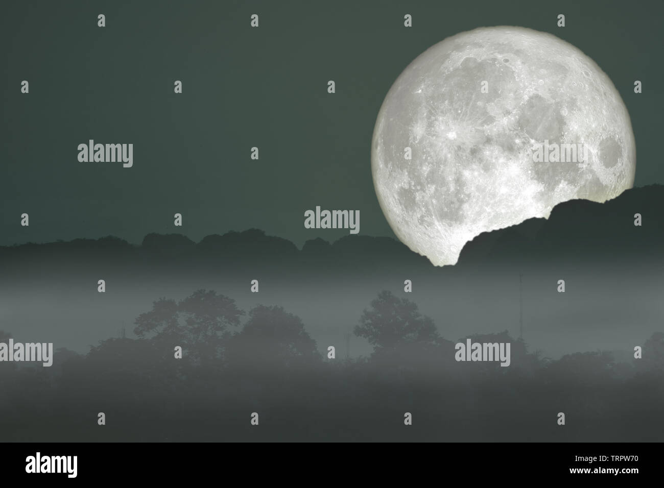 fish moon back on cloud and fog on mountain night sky, Elements of this ...