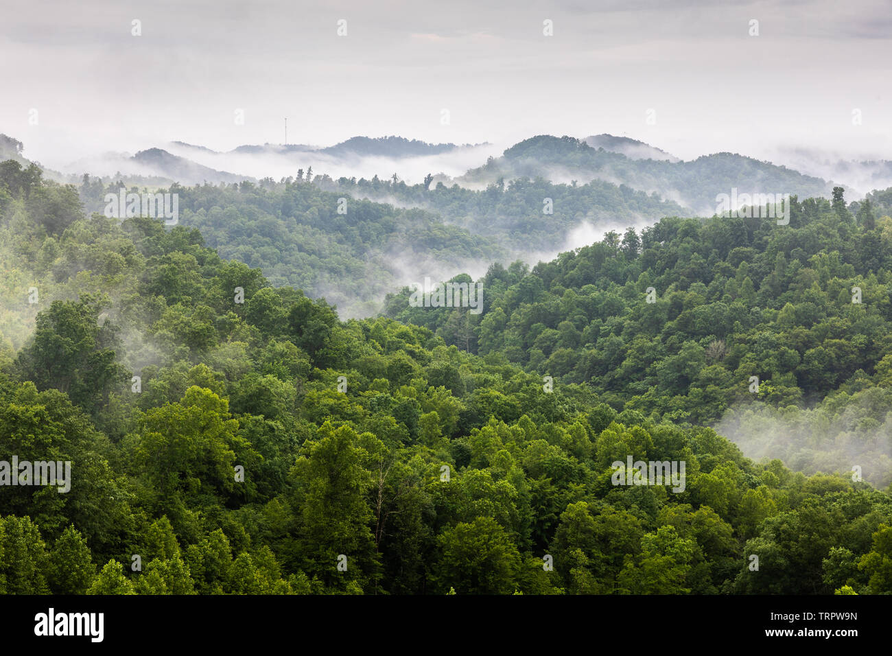 Fog rises above foothills in this scene from Central Appalachia Stock ...