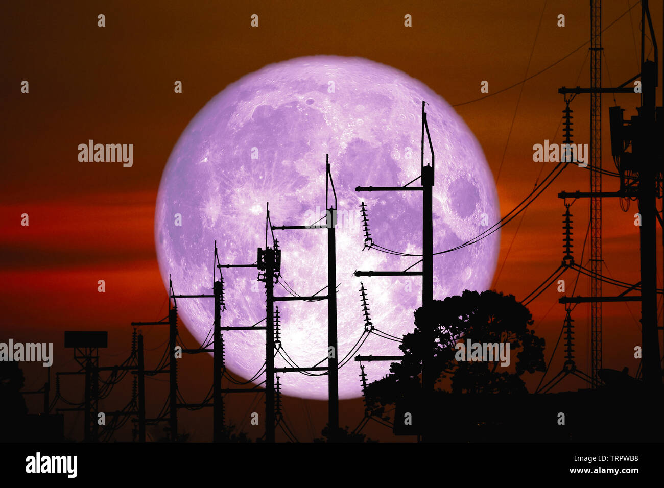 Full Rose Moon back on silhouette power electric line and pole on night ...