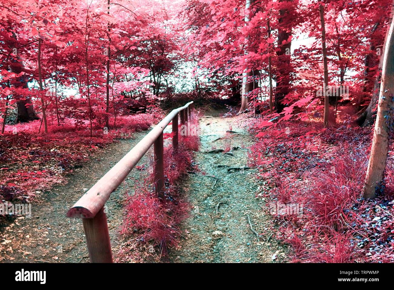 Calming natural spring water wooden hi-res stock photography and images ...