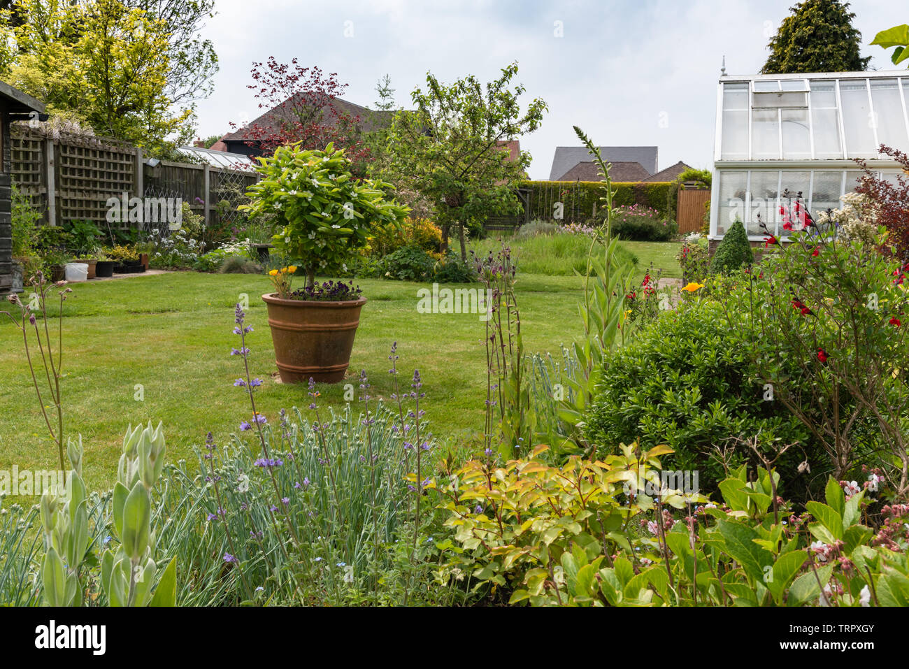 An English back garden in May Stock Photo - Alamy