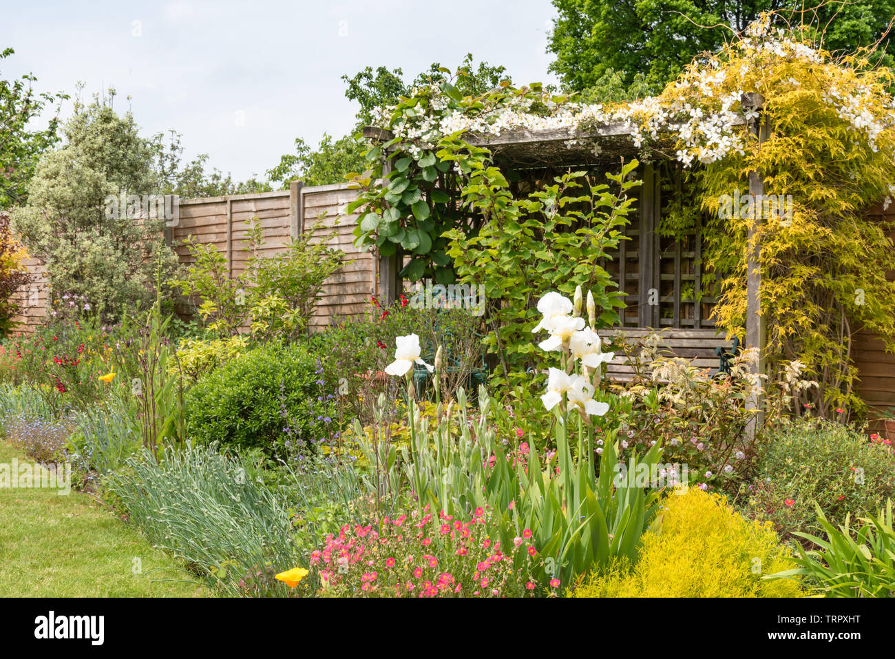 An English back garden in May Stock Photo - Alamy