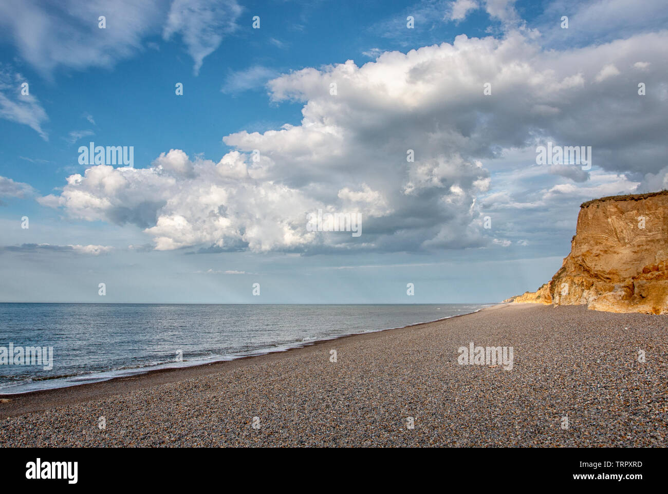 Weybourne Cliffs in the golden hour, Norfolk Stock Photo - Alamy