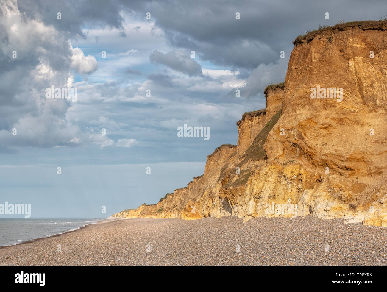 Weybourne Cliffs in the golden hour, Norfolk Stock Photo - Alamy