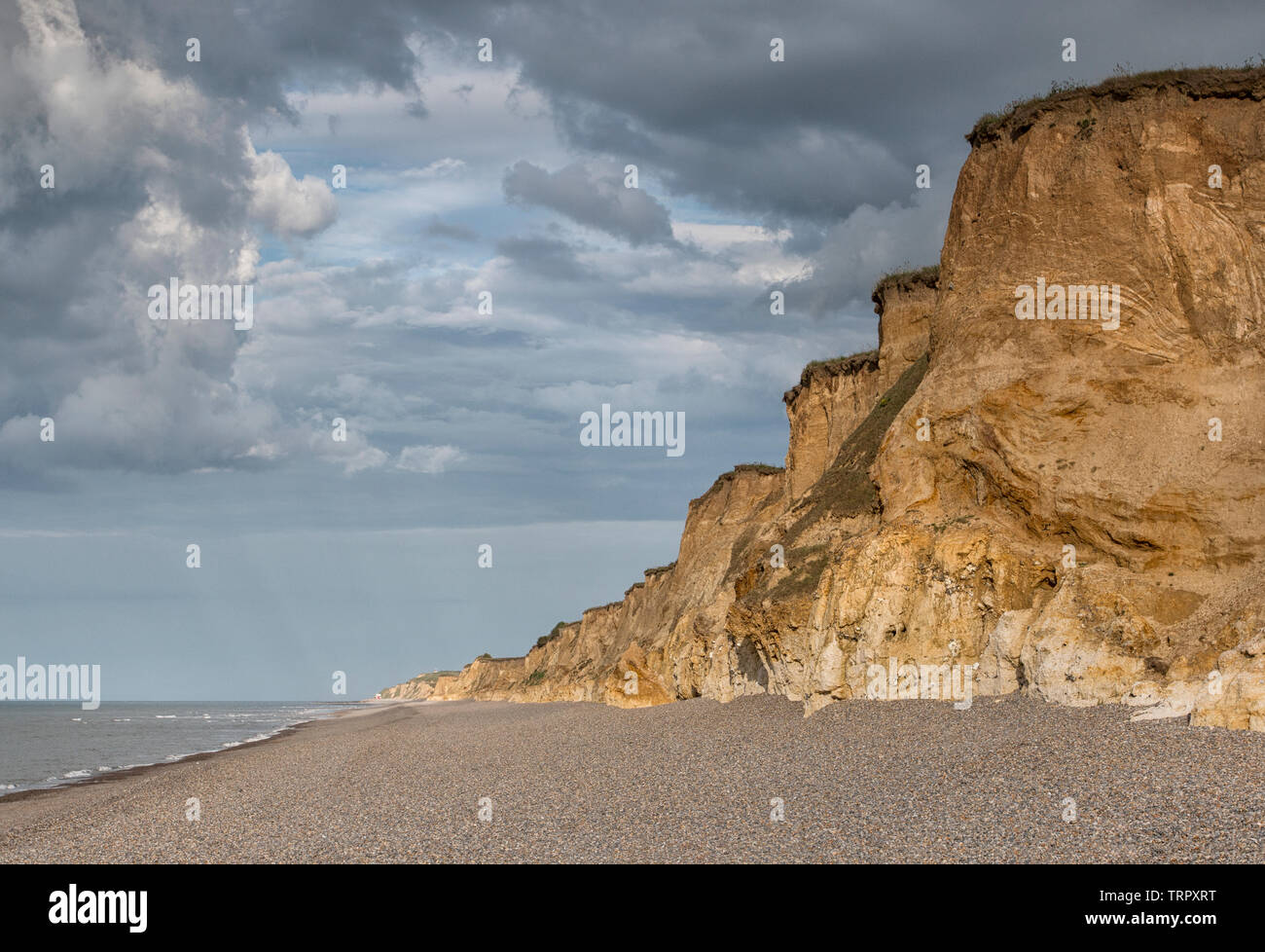 Weybourne Cliffs in the golden hour, Norfolk Stock Photo - Alamy