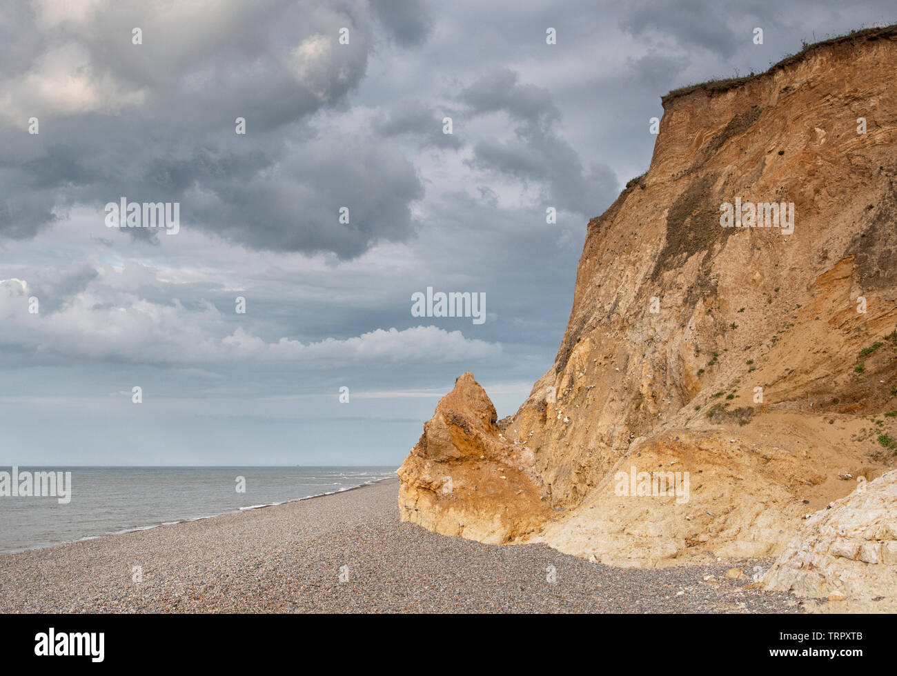 Weybourne Cliffs in the golden hour, Norfolk Stock Photo - Alamy
