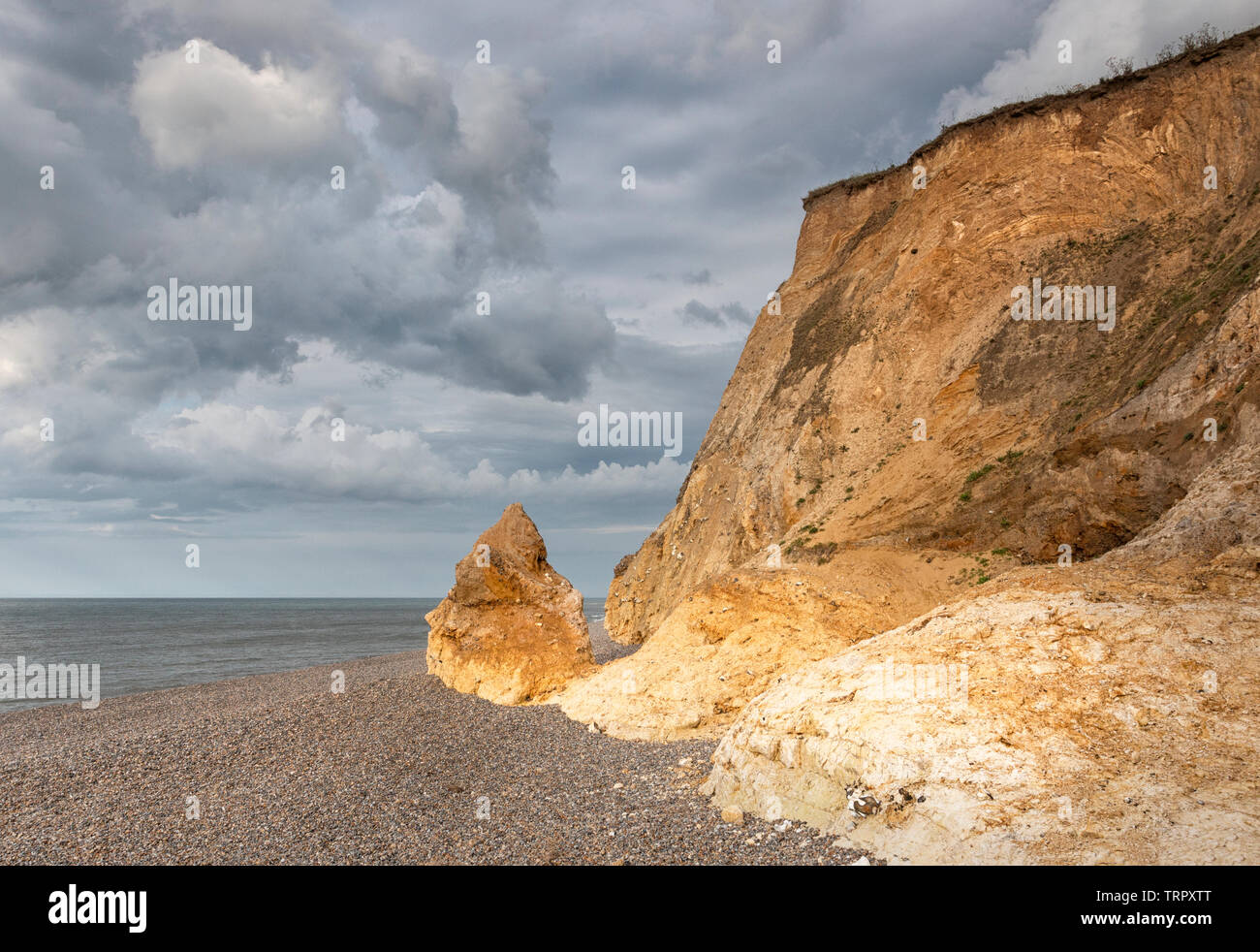 Weybourne Cliffs in the golden hour, Norfolk Stock Photo - Alamy