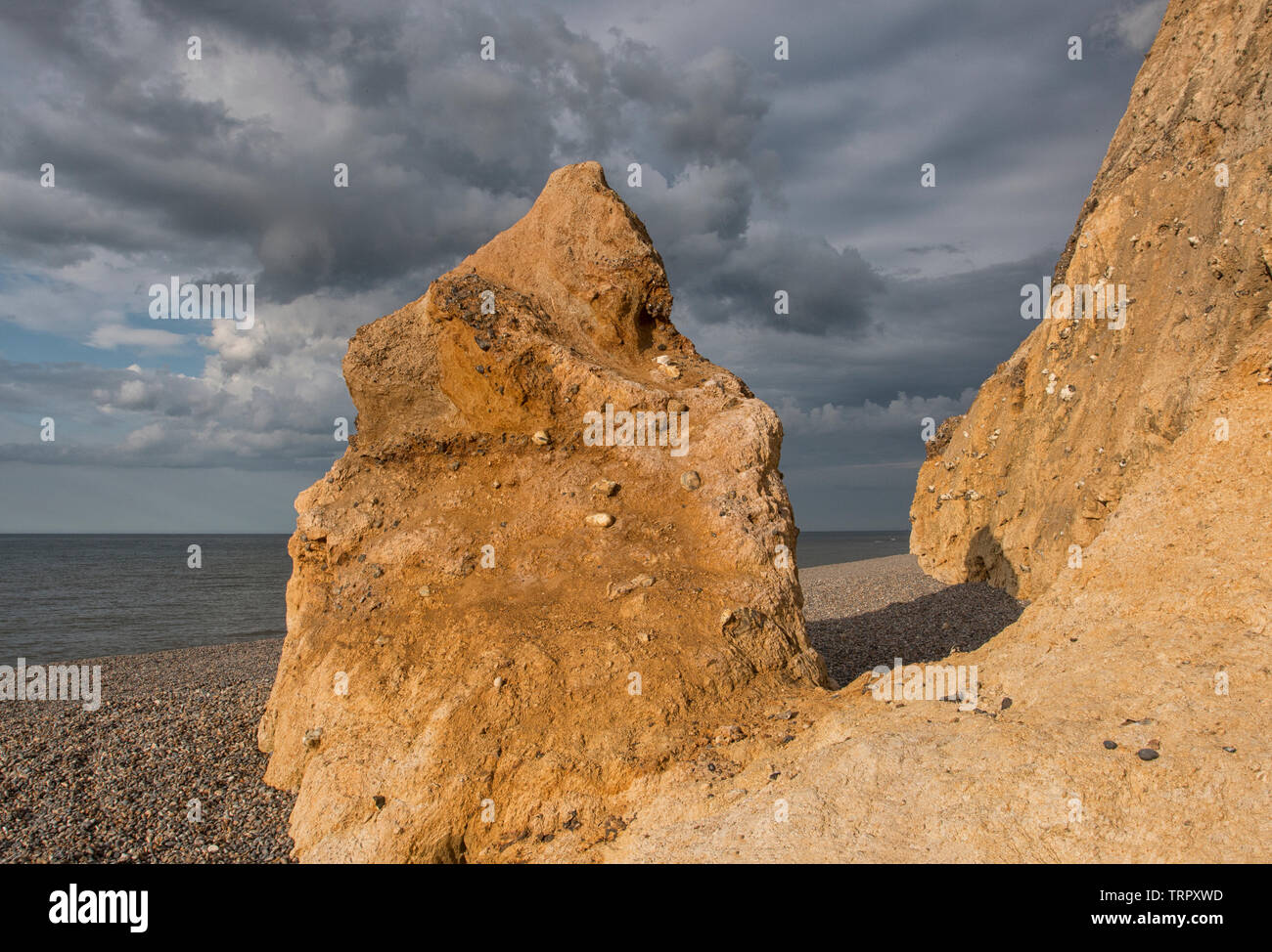 Weybourne Cliffs in the golden hour, Norfolk Stock Photo - Alamy