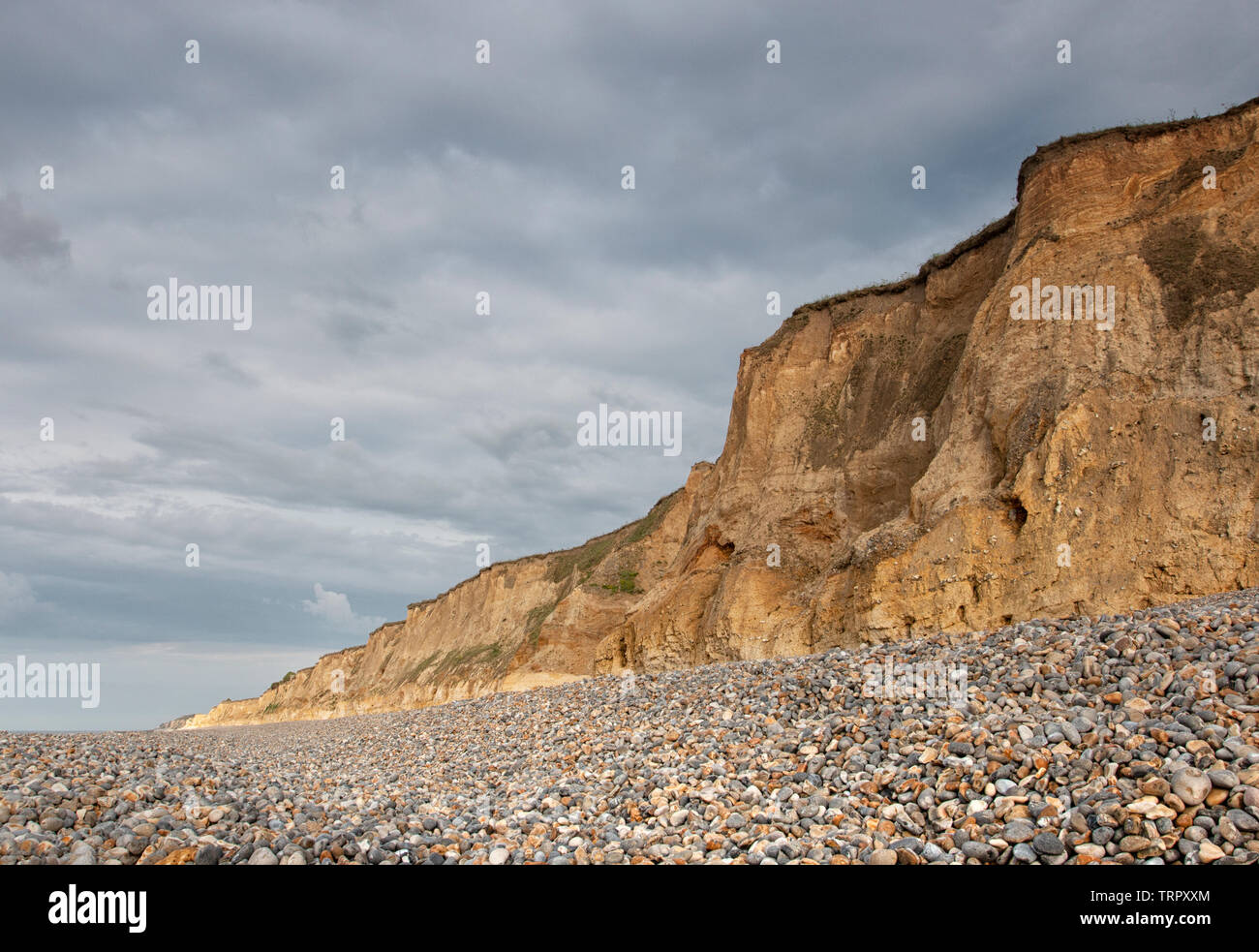 Weybourne Cliffs in the golden hour, Norfolk Stock Photo - Alamy