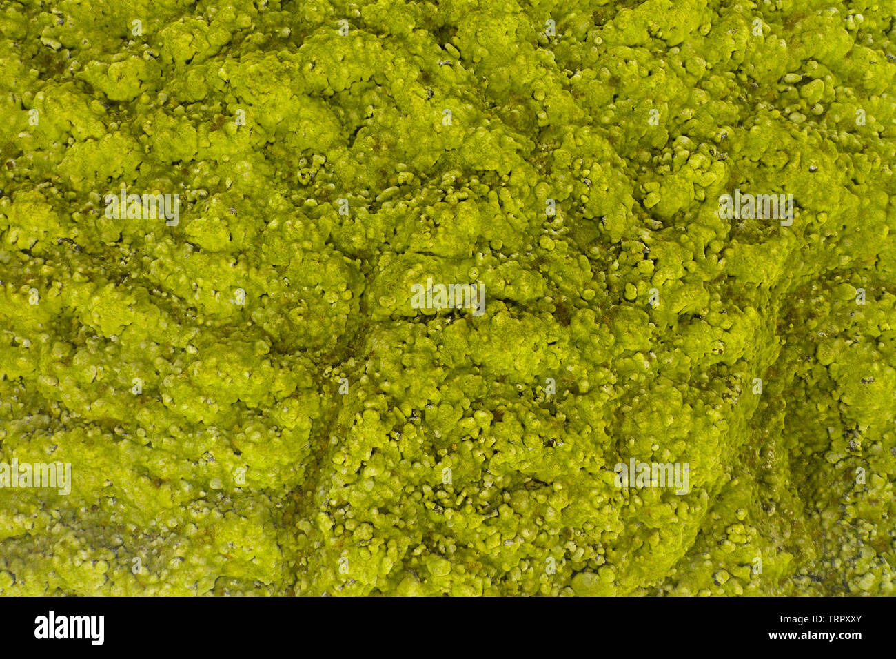 Aerial view of Eldhraun lava field in Southern Iceland by drone Stock ...