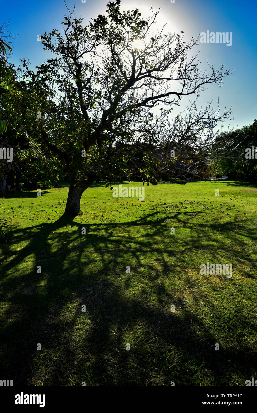 Beautiful scenery sunshine backlight hi-res stock photography and ...