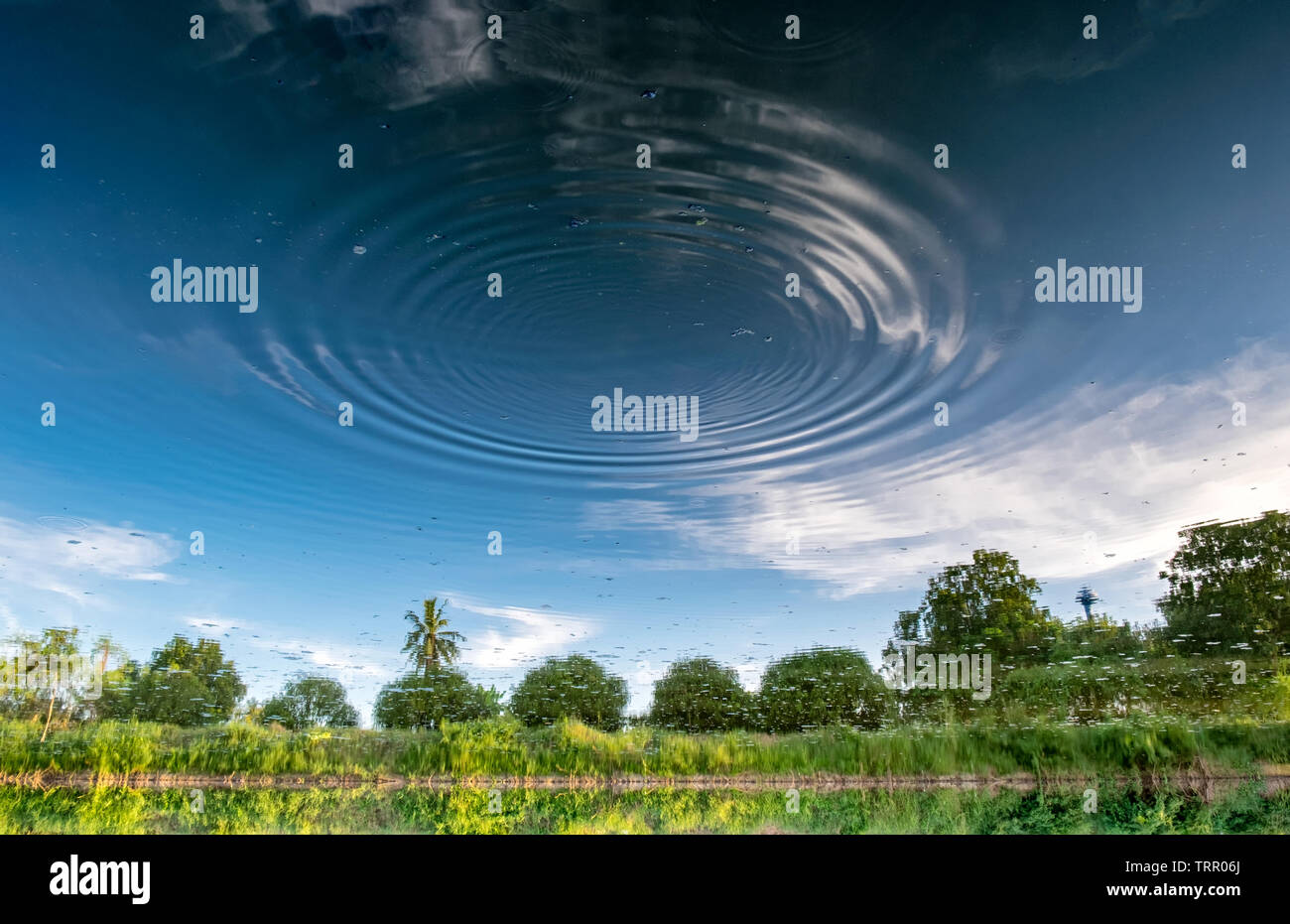 Reflection blue water clear and river bank Stock Photo - Alamy