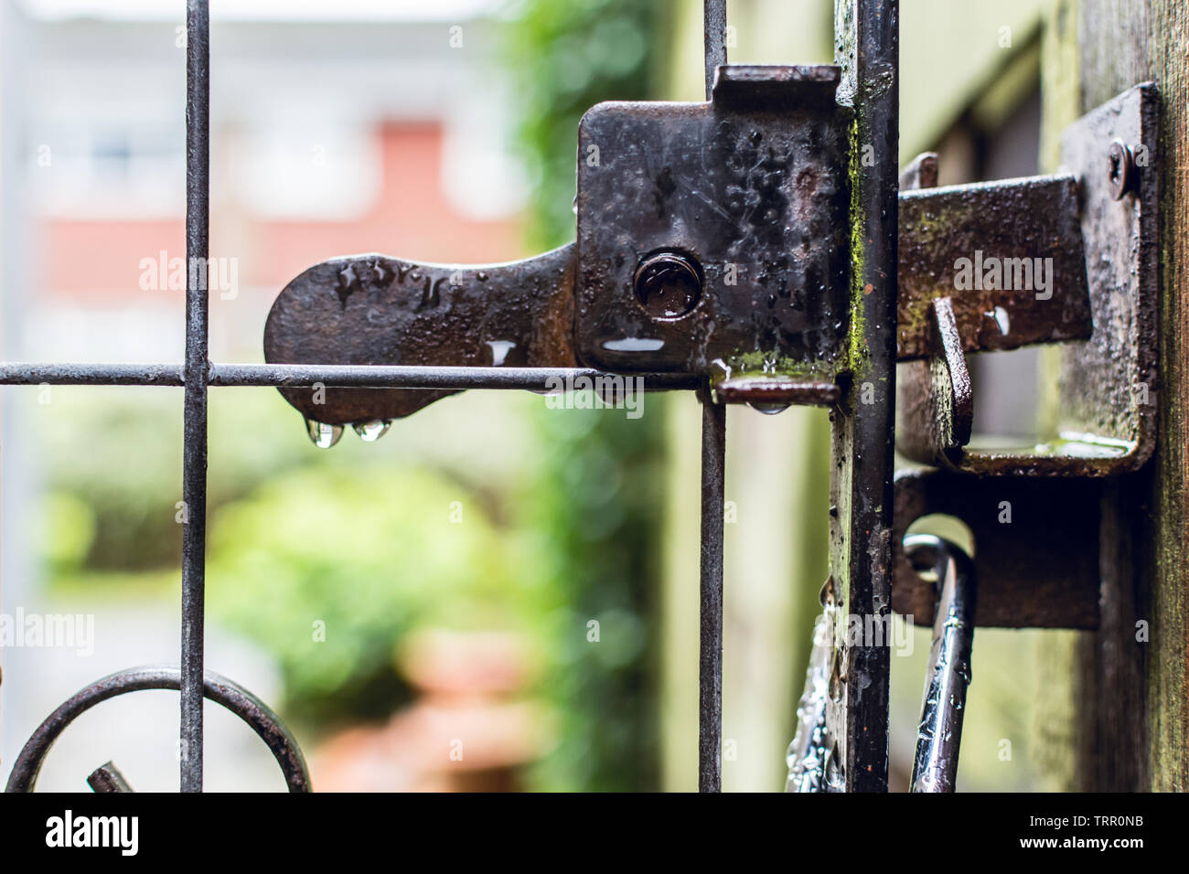 Nature neighbor hi-res stock photography and images - Alamy