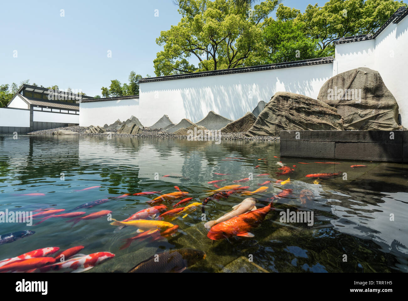 Suzhou museum scenery,designed by I M Pei Stock Photo - Alamy