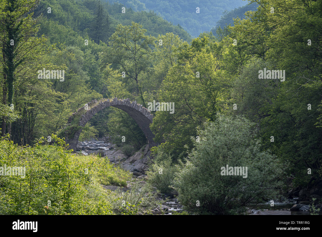 Ruins of arch bridge in mountains, Rezzo municipality, Province of ...