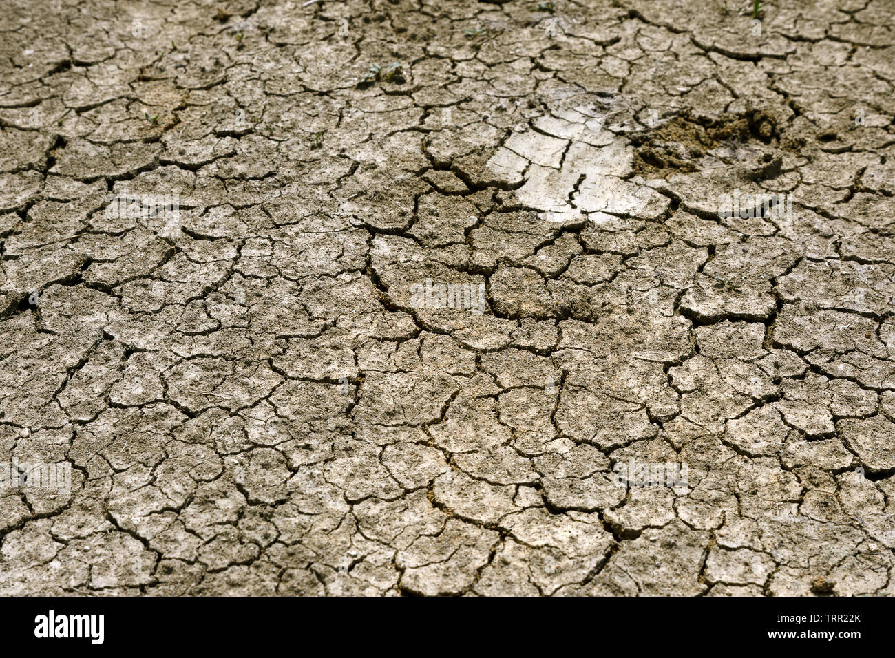 detail of a cracked earth, crack earth, crack soil , global warming ...