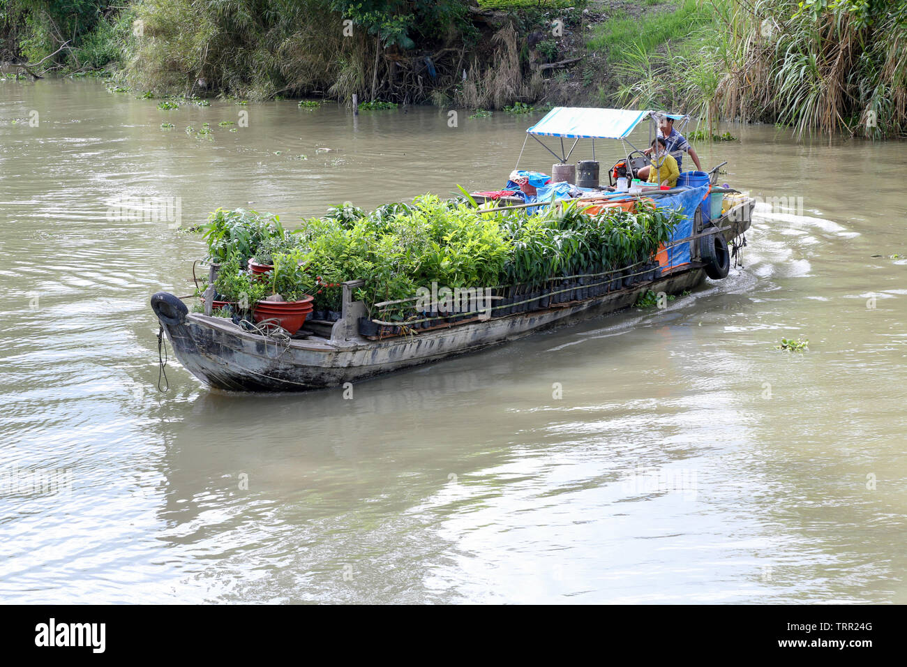 An Giang Province, Vietnam Stock Photo - Alamy