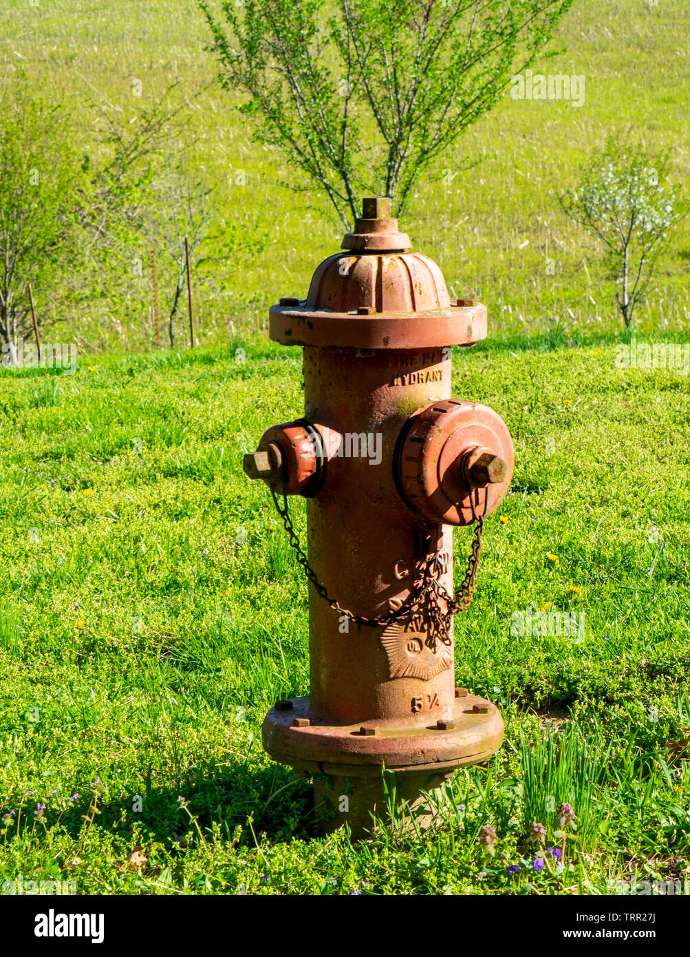 Rustic fire hydrant in a field Stock Photo - Alamy