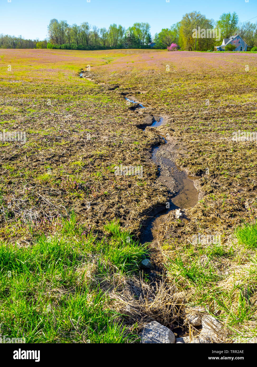 Water erosion, farm field hi-res stock photography and images - Alamy