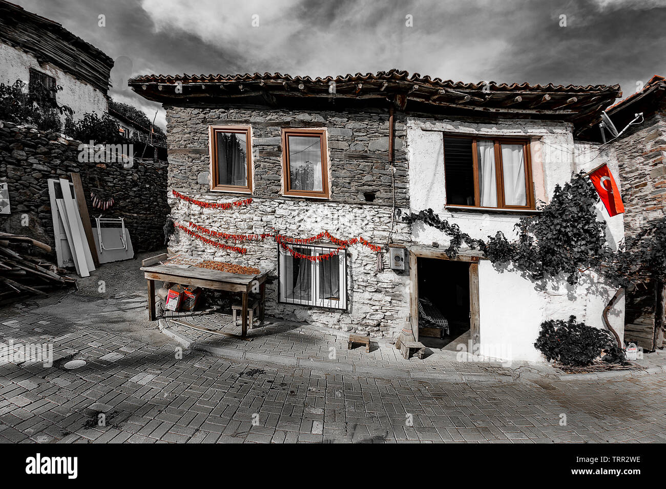 Turkish walnut trees hi-res stock photography and images - Alamy