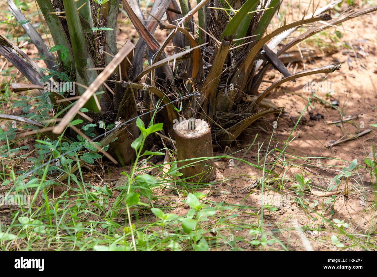 Mine landmine hi-res stock photography and images - Alamy