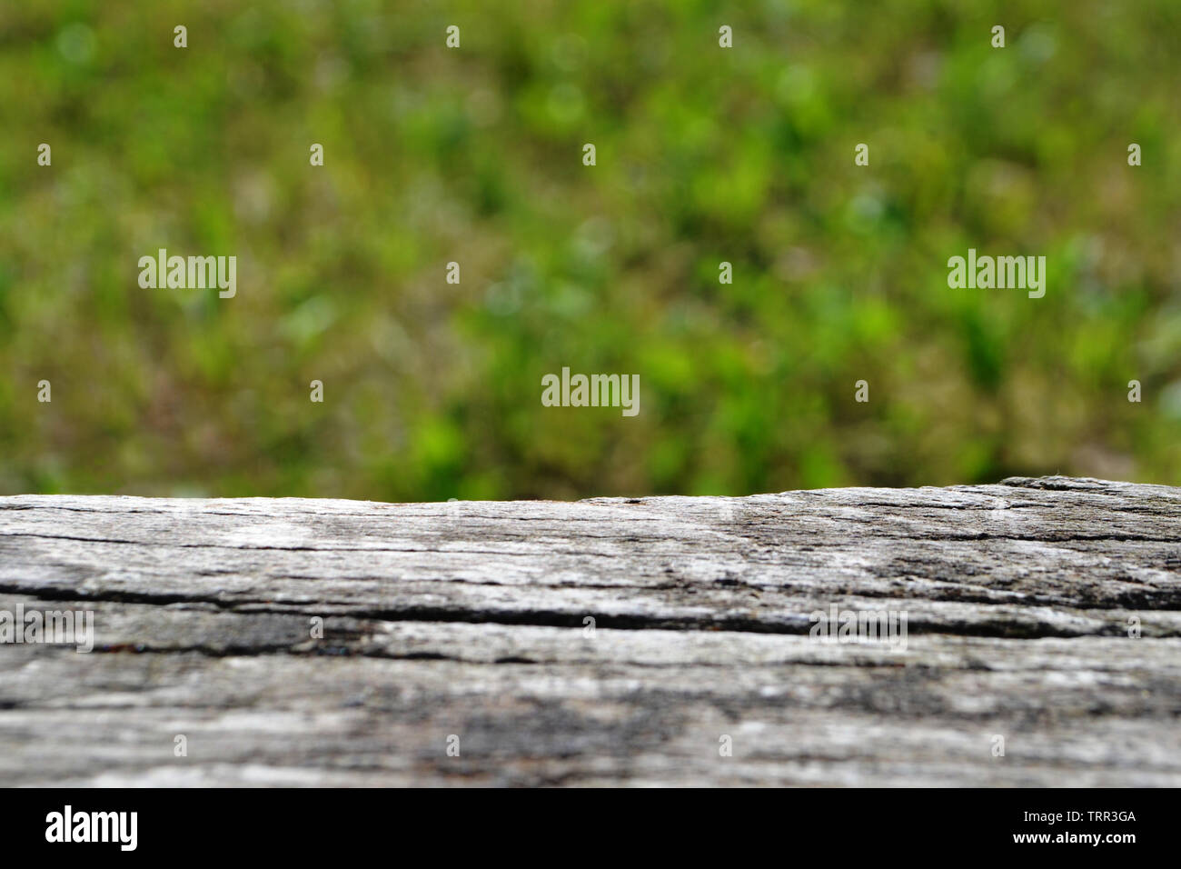 Split wood and grass hi-res stock photography and images - Alamy