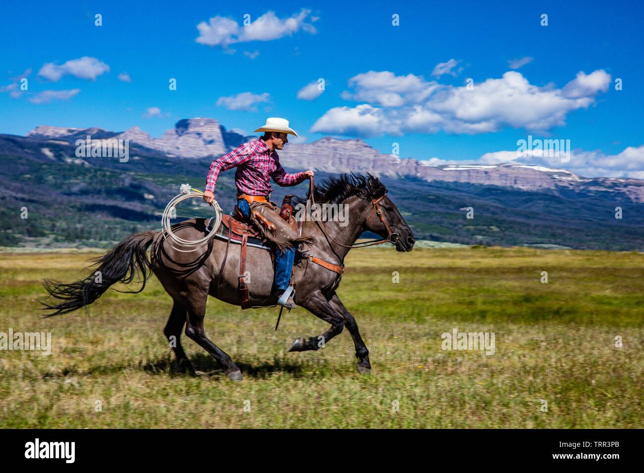 Ranch life hi-res stock photography and images - Alamy