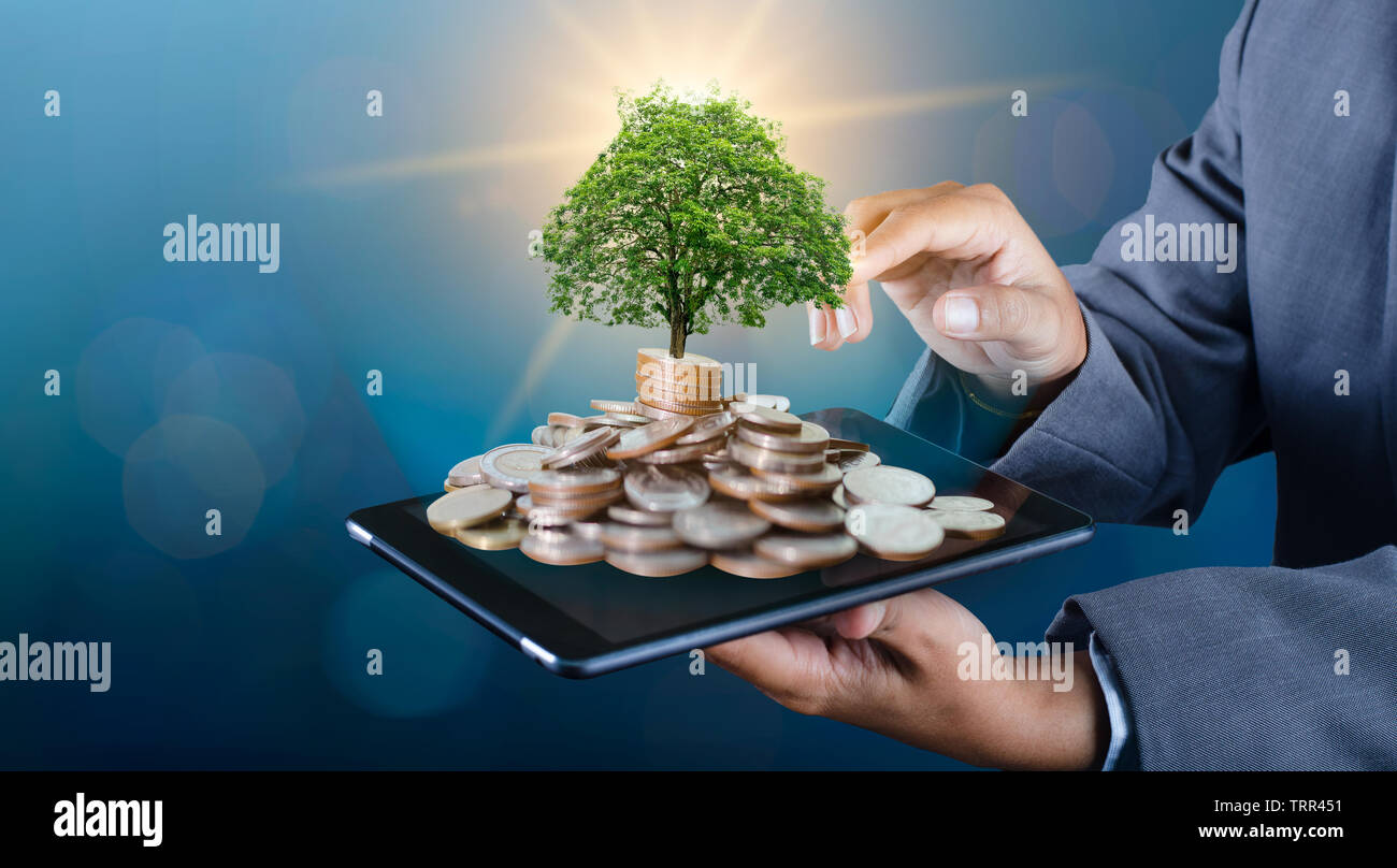 Coin tree hi-res stock photography and images - Alamy