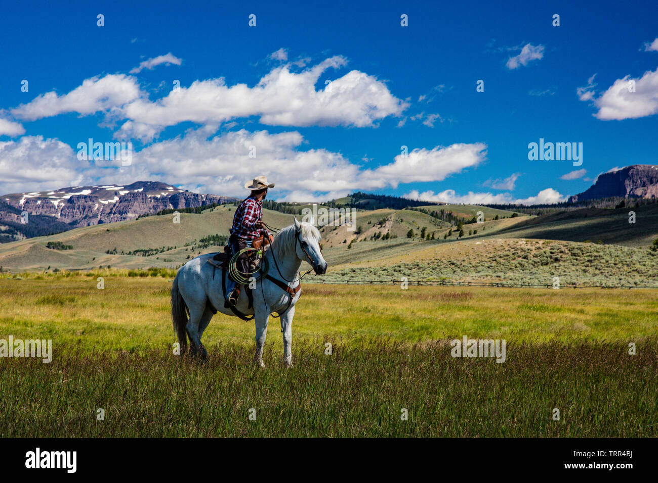 Absaroka Ranch, Wyoming; running the horses in the morning, bring them ...