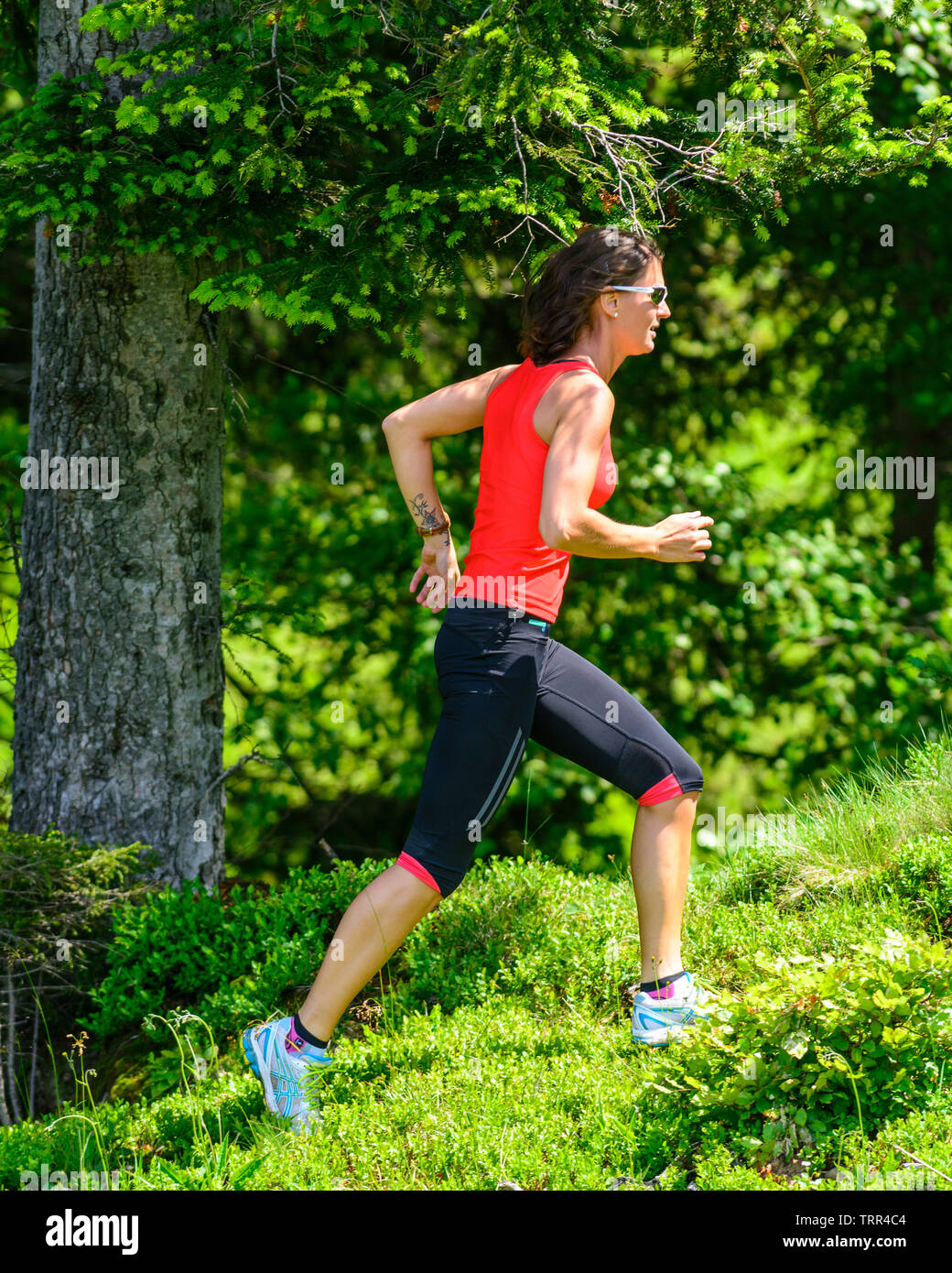 Arduous trail running exercise in alpine region Stock Photo - Alamy