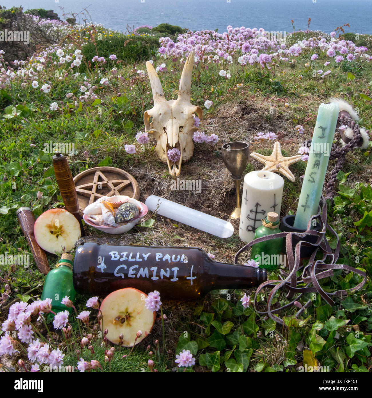 Spooky starfish hi-res stock photography and images - Alamy
