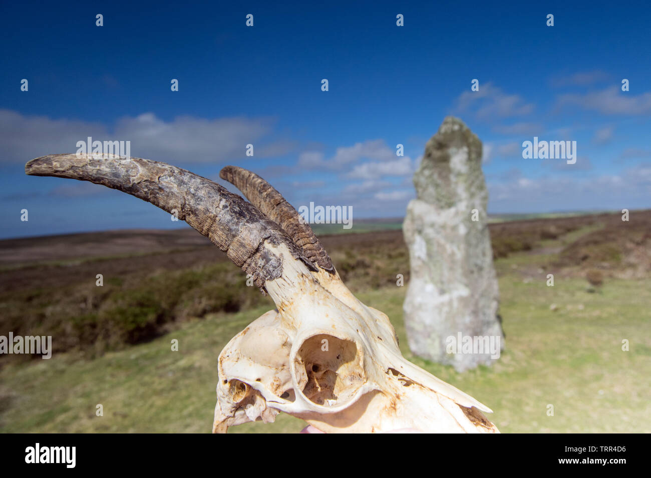 Baphomet hi-res stock photography and images - Alamy