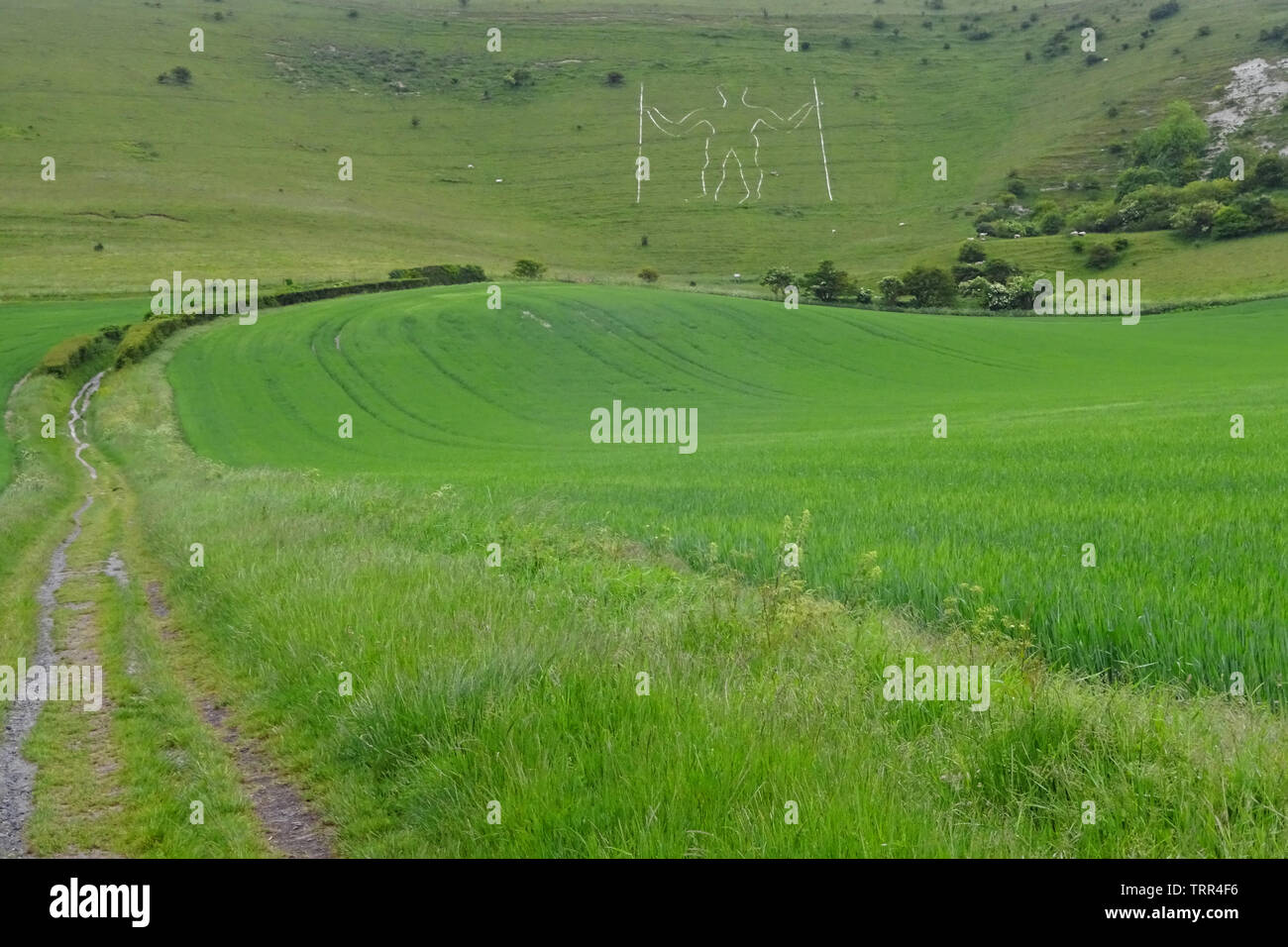 The Long Man of Wilmington, Hillside Chalk Figure, East Sussex UK Stock ...