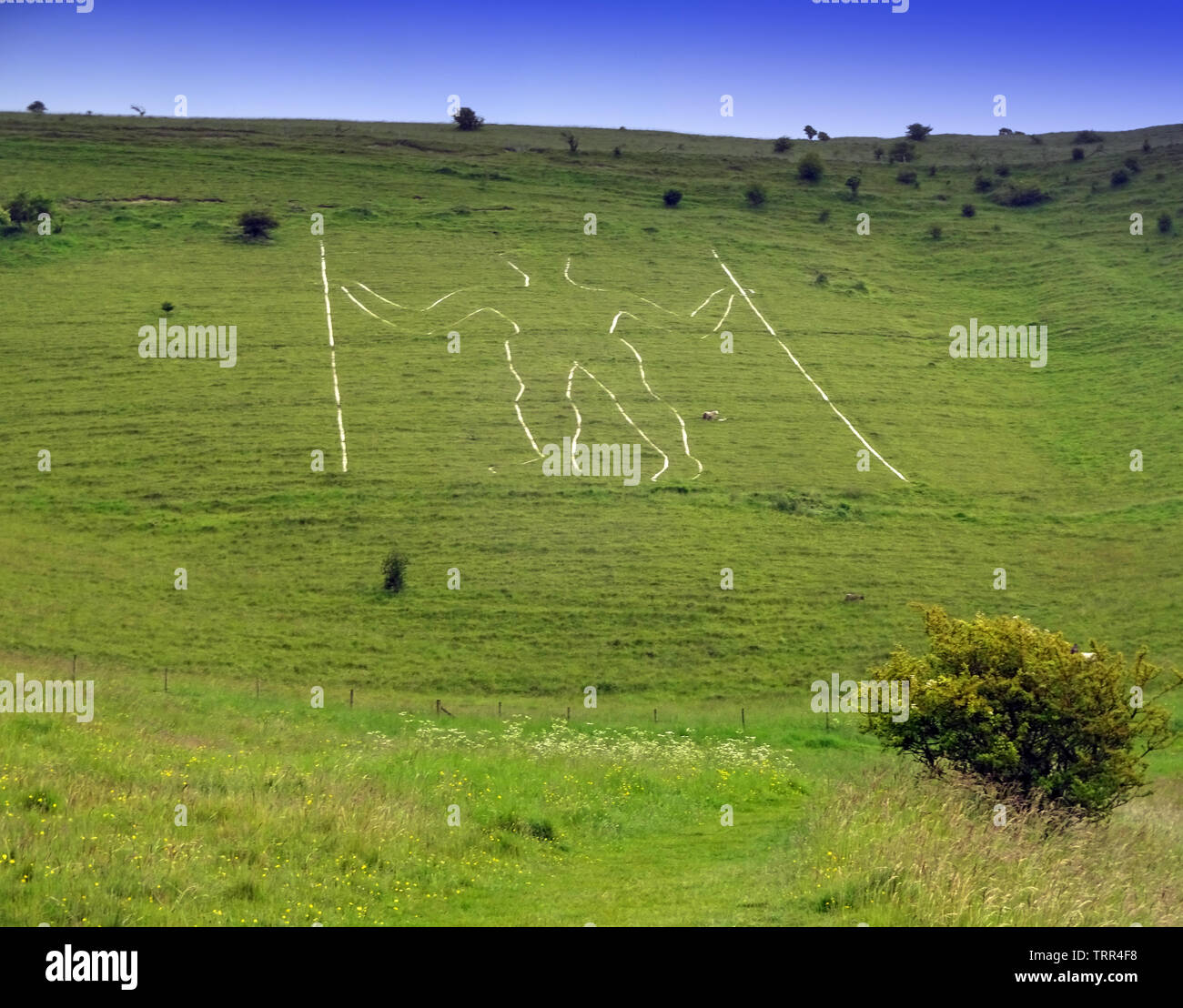 The Long Man of Wilmington, Hillside Chalk Figure, East Sussex UK Stock ...