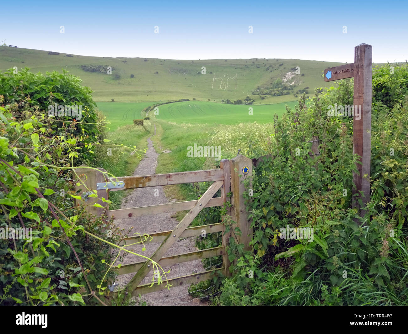 The Long Man of Wilmington, Hillside Chalk Figure, East Sussex UK Stock ...