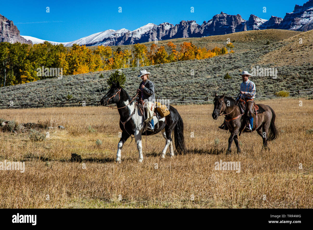 Absaroka Ranch, Wyoming; running the horses in the morning, bring them ...