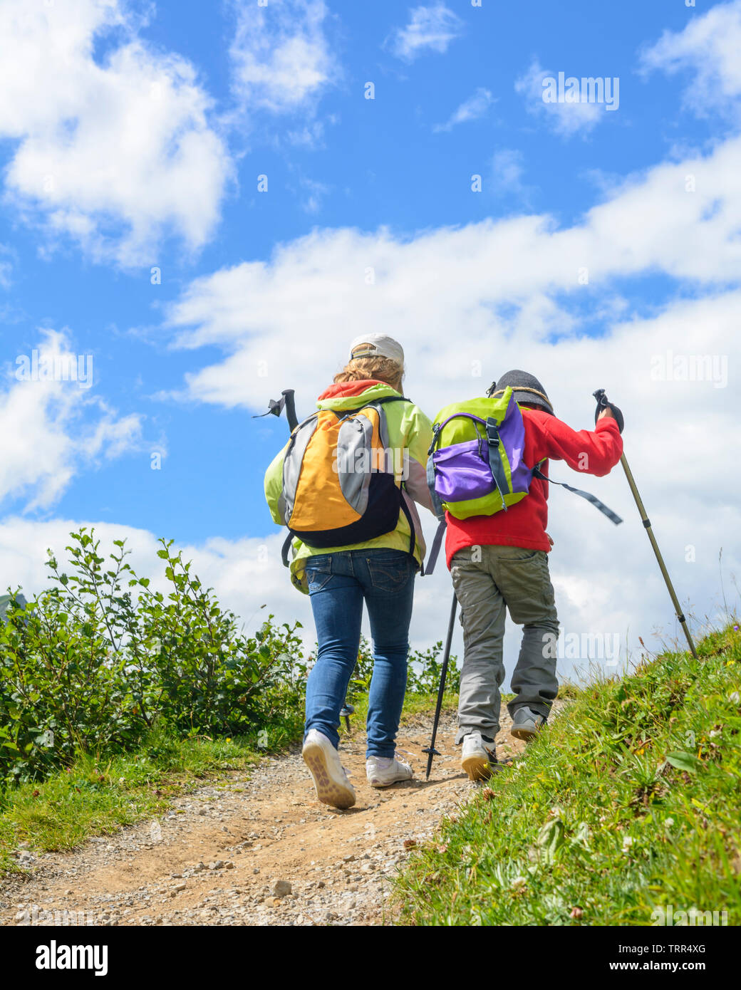 Children hiking in the beautiful nature of the western austrian alps ...