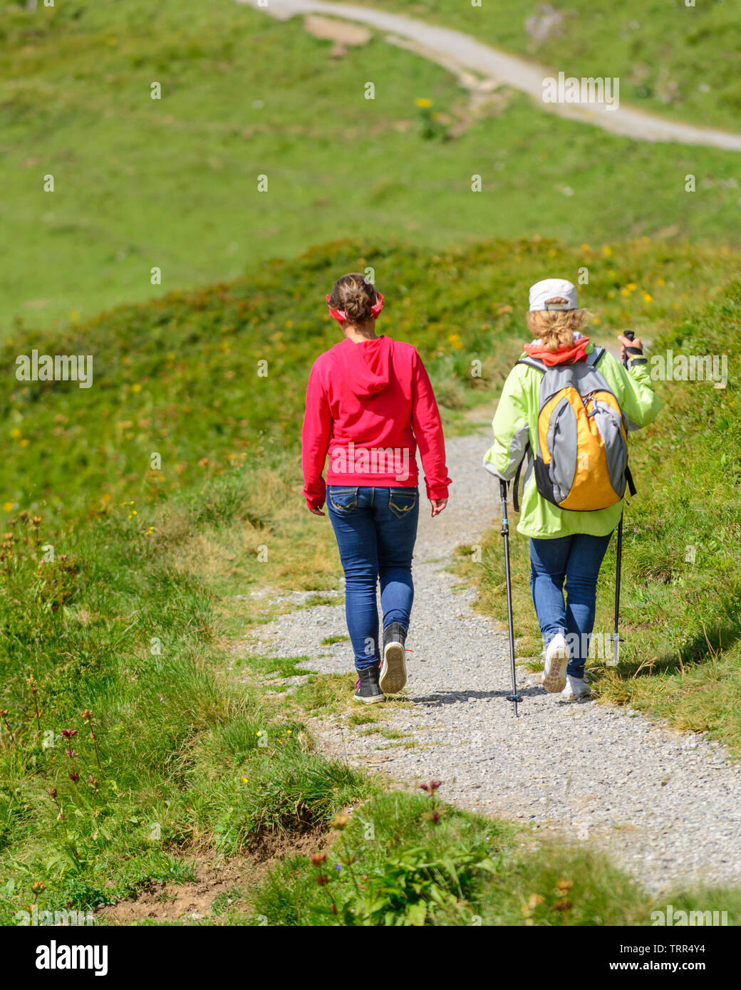 Children hiking in the beautiful nature of the western austrian alps ...