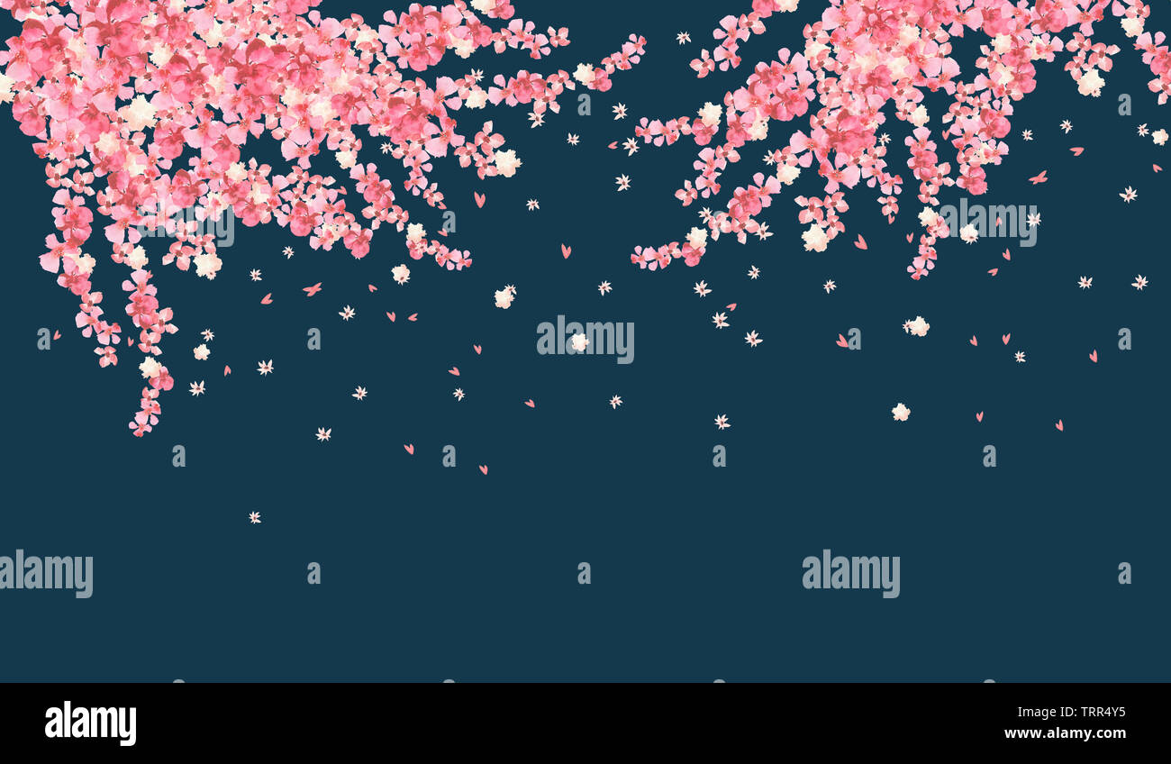 banner template of sakura flowers in bloom on dark background with copy ...