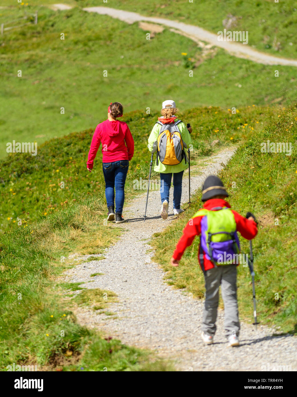 Children hiking in the beautiful nature of the western austrian alps ...
