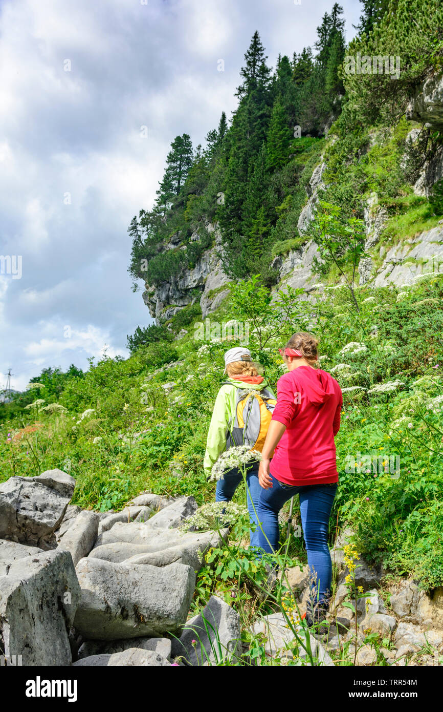 Children hiking in the beautiful nature of the western austrian alps ...