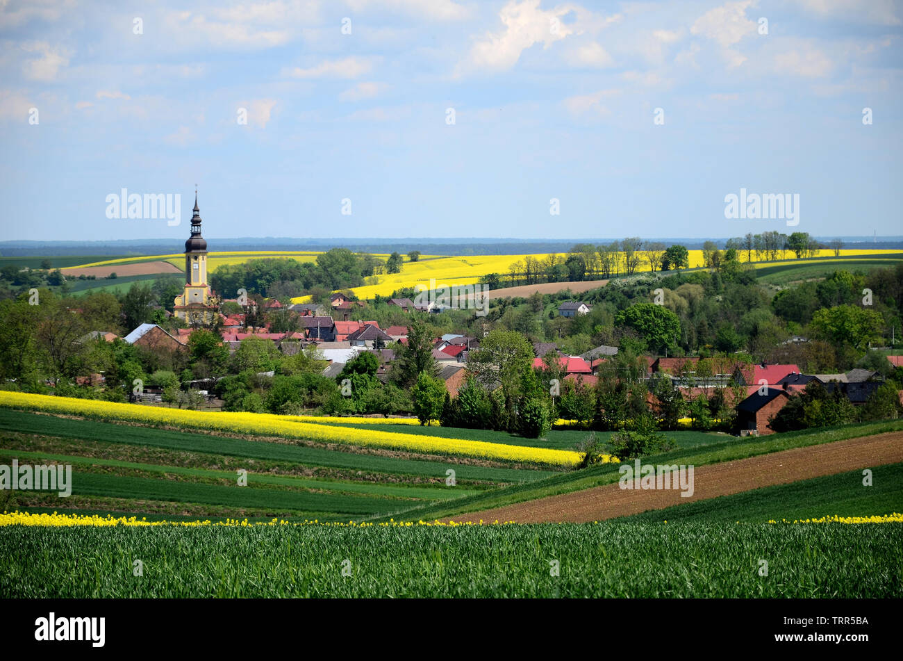 Summer landscape - Silesia, Poland Stock Photo - Alamy