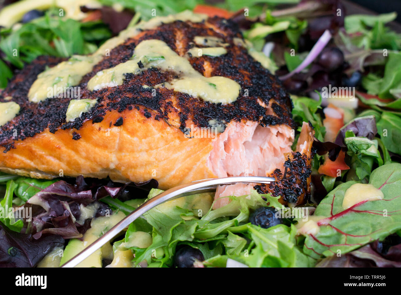 Crispy Jamaican Jerk Salmon with Mango-Basil Vinaigrette Stock Photo ...