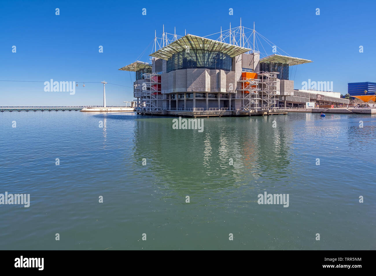 Lisbon oceanarium hi-res stock photography and images - Alamy
